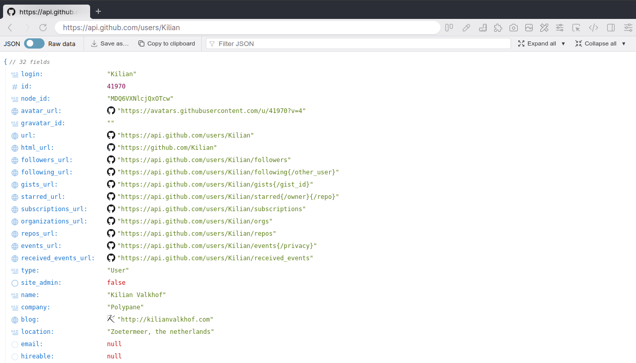 JSON viewer | Polypane JSON viewer | Polypane