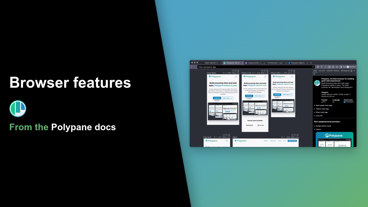 Browser features | Polypane Browser features | Polypane