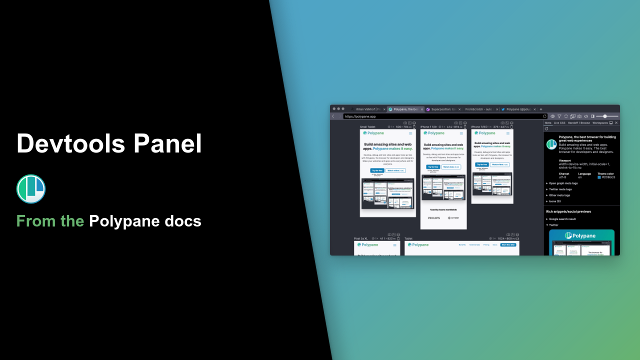 Devtools Panel | Polypane