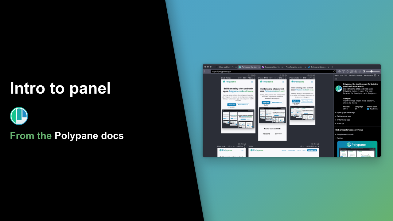 Intro to panel | Polypane