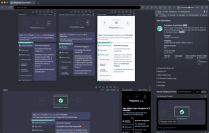 1Password setup instructions | Polypane