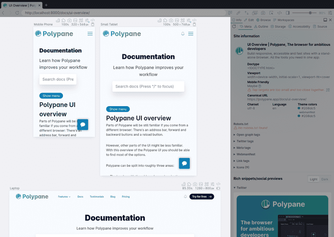 UI Overview | Polypane